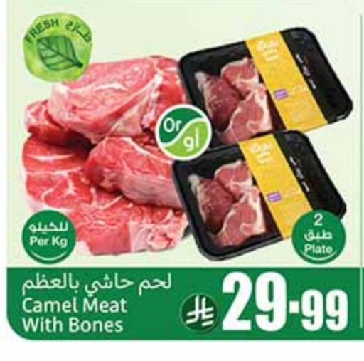 Camel meat in Hypermarket Stor KSA, Saudi Arabia, Saudi - Tabuk | D4D Online
