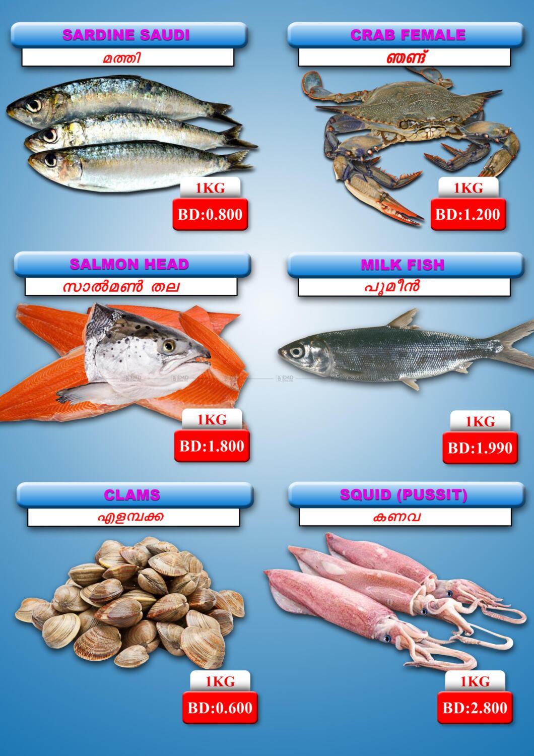 Shada Fish Big Deal in Bahrain. Till 14th July