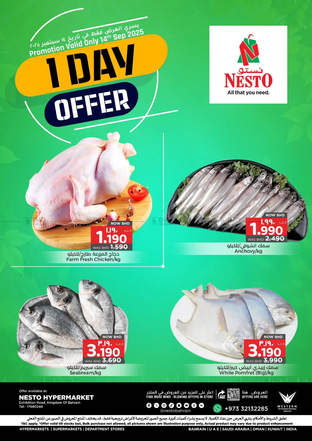 1 Day Offer